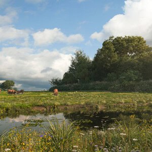 England’s largest network of BNG Habitat Banks | Environment Bank