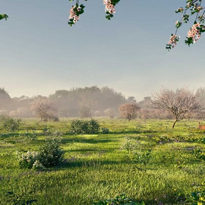 England’s largest network of BNG Habitat Banks | Environment Bank