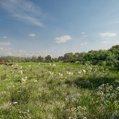 England’s largest network of BNG Habitat Banks | Environment Bank