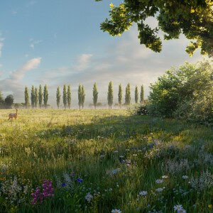 England’s largest network of BNG Habitat Banks | Environment Bank