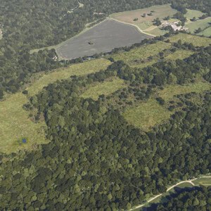 England’s largest network of BNG Habitat Banks | Environment Bank