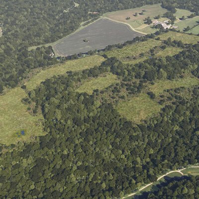 England’s largest network of BNG Habitat Banks | Environment Bank