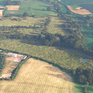 England’s largest network of BNG Habitat Banks | Environment Bank