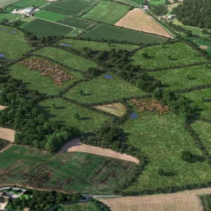 England’s largest network of BNG Habitat Banks | Environment Bank