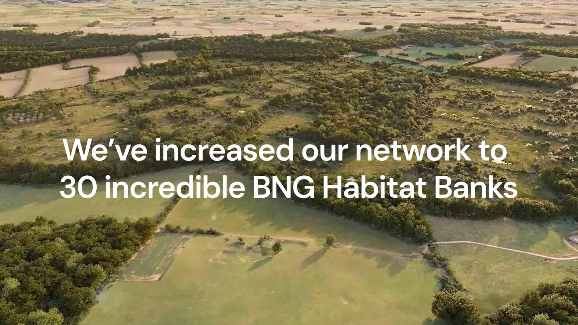 Join our team | Environment Bank | Careers | The biodiversity experts