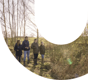 About us | Environment Bank | The biodiversity experts | Leading BNG ...