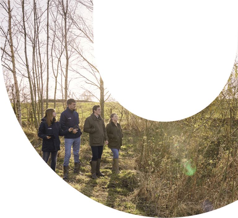 About us | Environment Bank | The biodiversity experts | Leading BNG ...