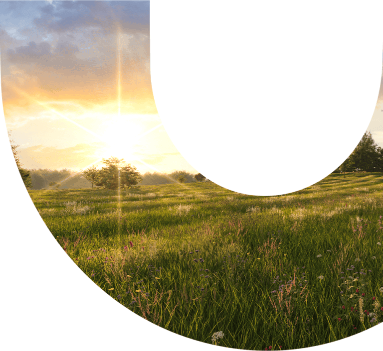 We’re looking for BNG referral partners | Environment Bank | The ...