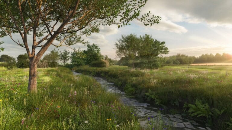 Buy Biodiversity Units | Environment Bank | BNG Units to reserve for ...