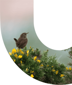 Environment Bank | The biodiversity experts | BNG Habitat Bank specialists