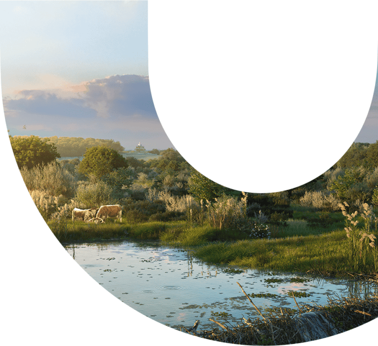 Bog Hall Habitat Bank | Environment Bank | Nature Shares