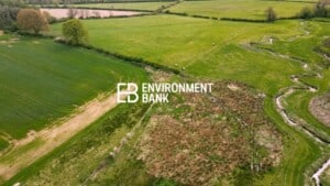 Buy Biodiversity Units | Environment Bank | BNG Units to reserve for ...