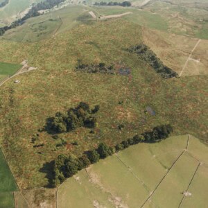 England’s largest network of BNG Habitat Banks | Environment Bank