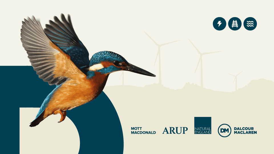 Biodiversity Net Gain Summit for NSIPs 2025 | Event | Environment Bank